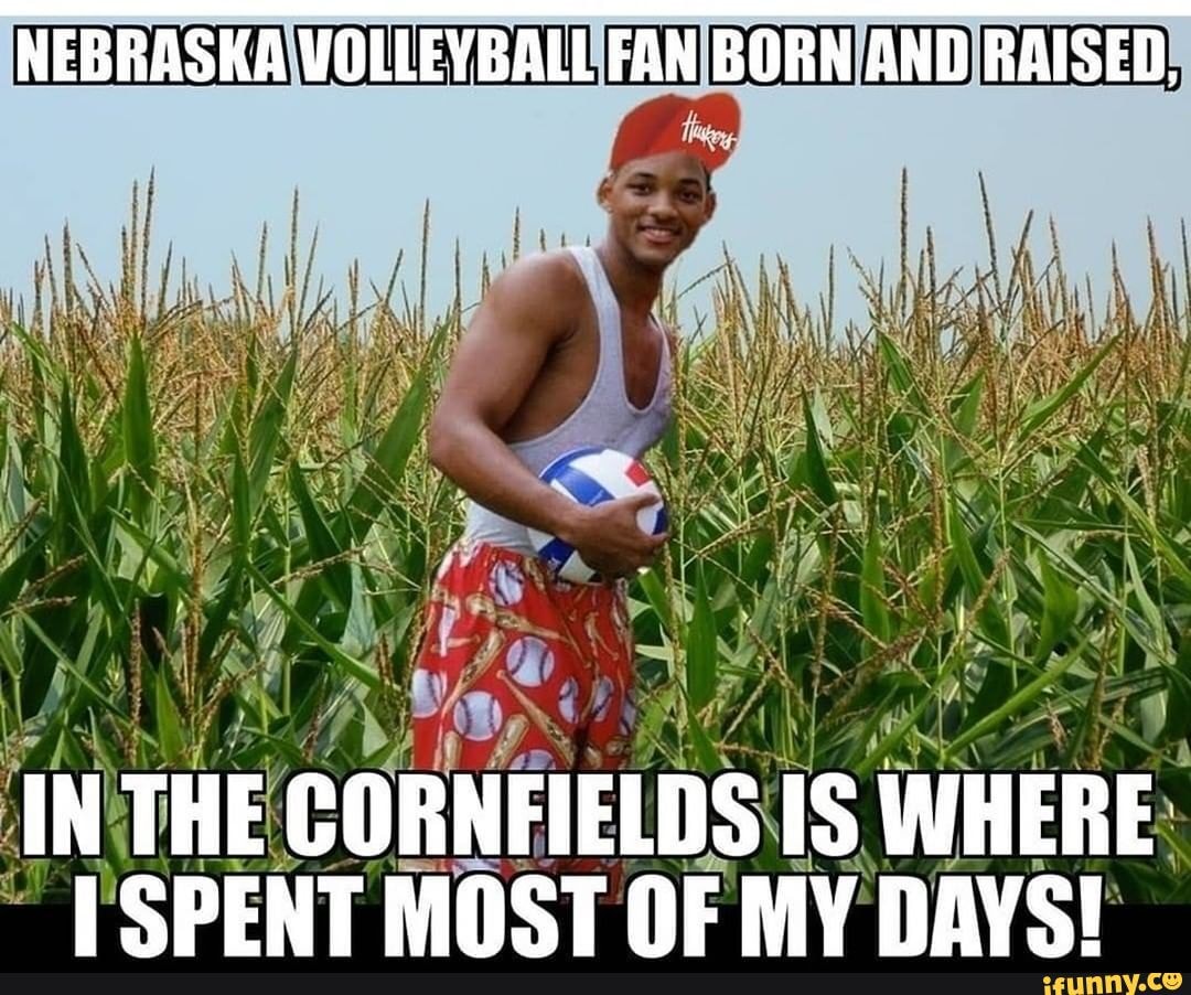 Cornfields memes. Best Collection of funny Cornfields pictures on iFunny