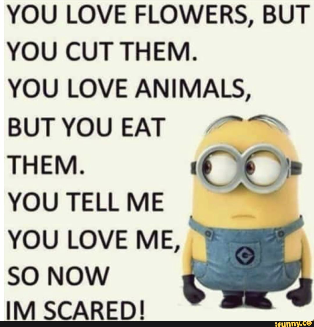 Minion I Love You Quotes For Him