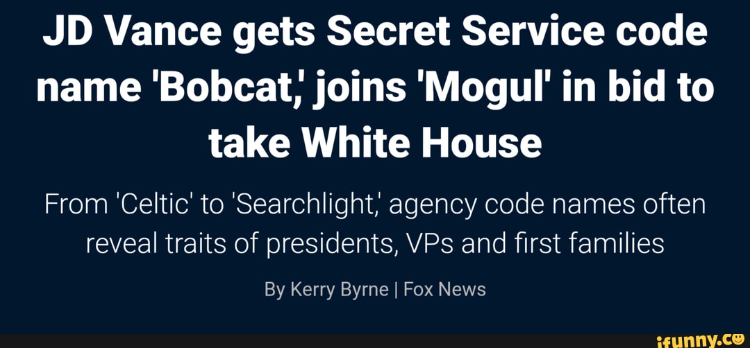 JD Vance gets Secret Service code name 'Bobcat, joins 'Mogul' in bid to ...