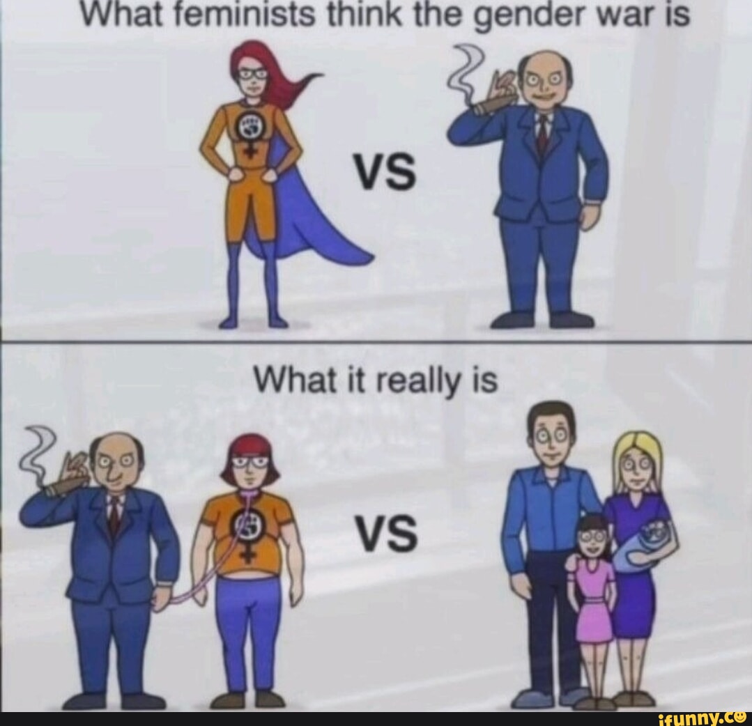 What feminists think the gender war Is VS What it really is - iFunny