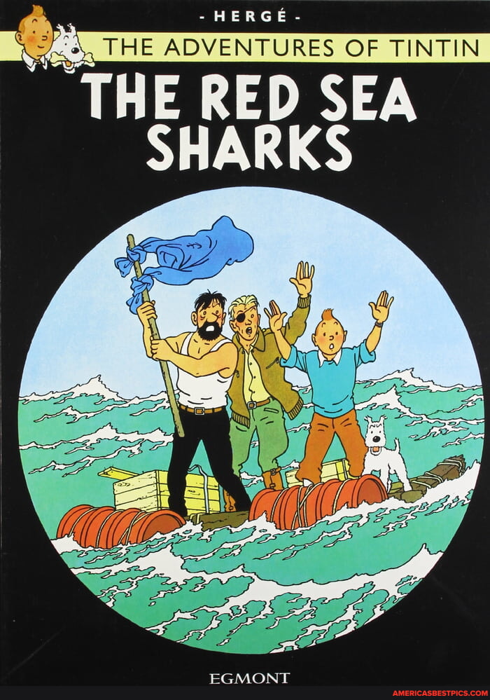 - HERGE - THE ADVENTURES OF TINTIN 'THE RED SEA SHARKS EGMONT - America ...