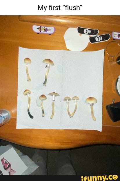 Mycology memes. Best Collection of funny Mycology pictures on iFunny