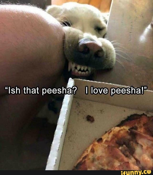 Peesha memes. Best Collection of funny Peesha pictures on iFunny