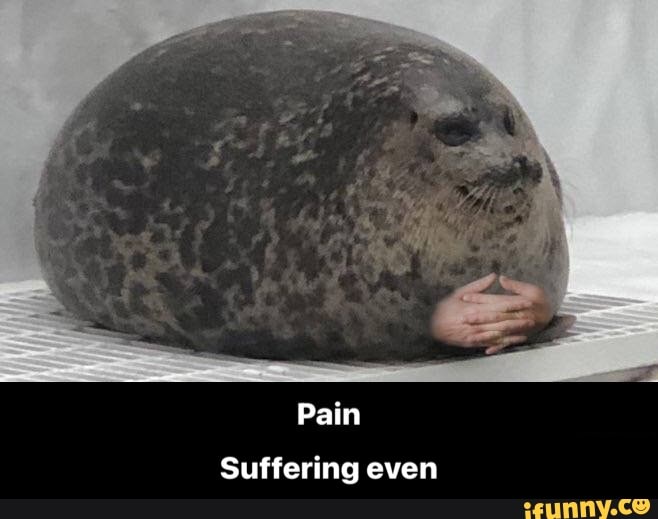 Pain Suffering even - Suffering even - iFunny