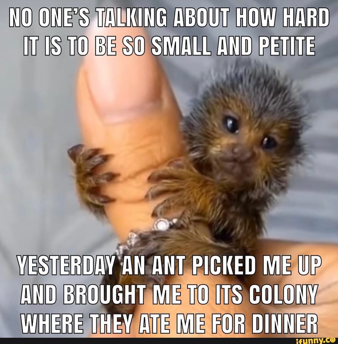 Jalking memes. Best Collection of funny Jalking pictures on iFunny