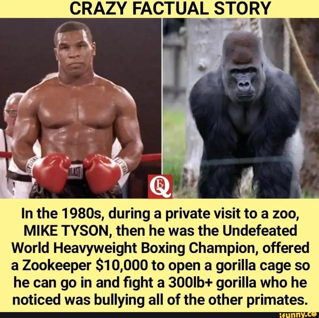 CRAZY FACTUAL STORY In the 1980s, during a private visit to a zoo, MIKE ...