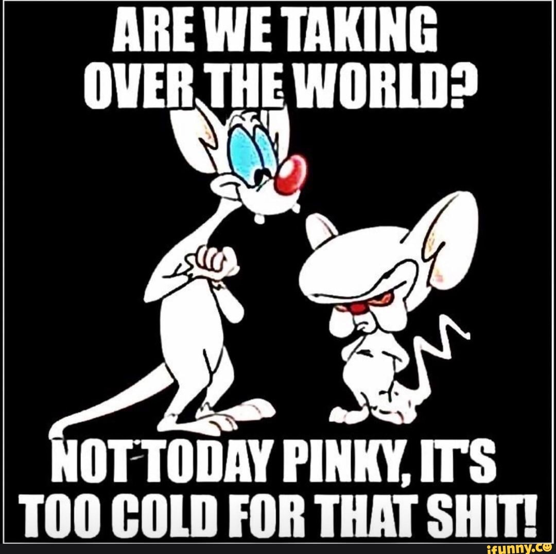 E WE TAKING OVER THE WORLD? NOT TODAY PINKY, ITS TAR COLD FOR THAT SHIT ...