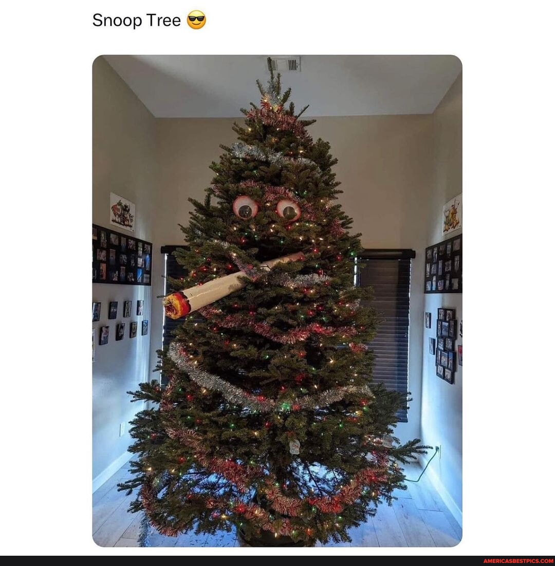 Snoop dogggg 🎄 #explore #memes #christmas #funny #tree #viral # ...