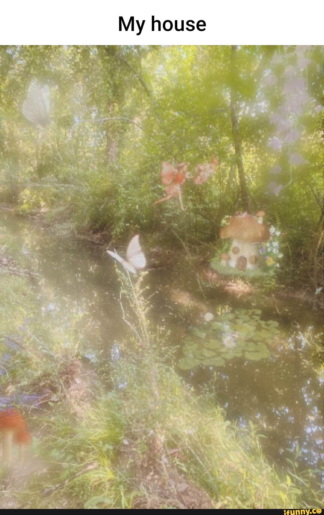 Faerie memes. Best Collection of funny Faerie pictures on iFunny