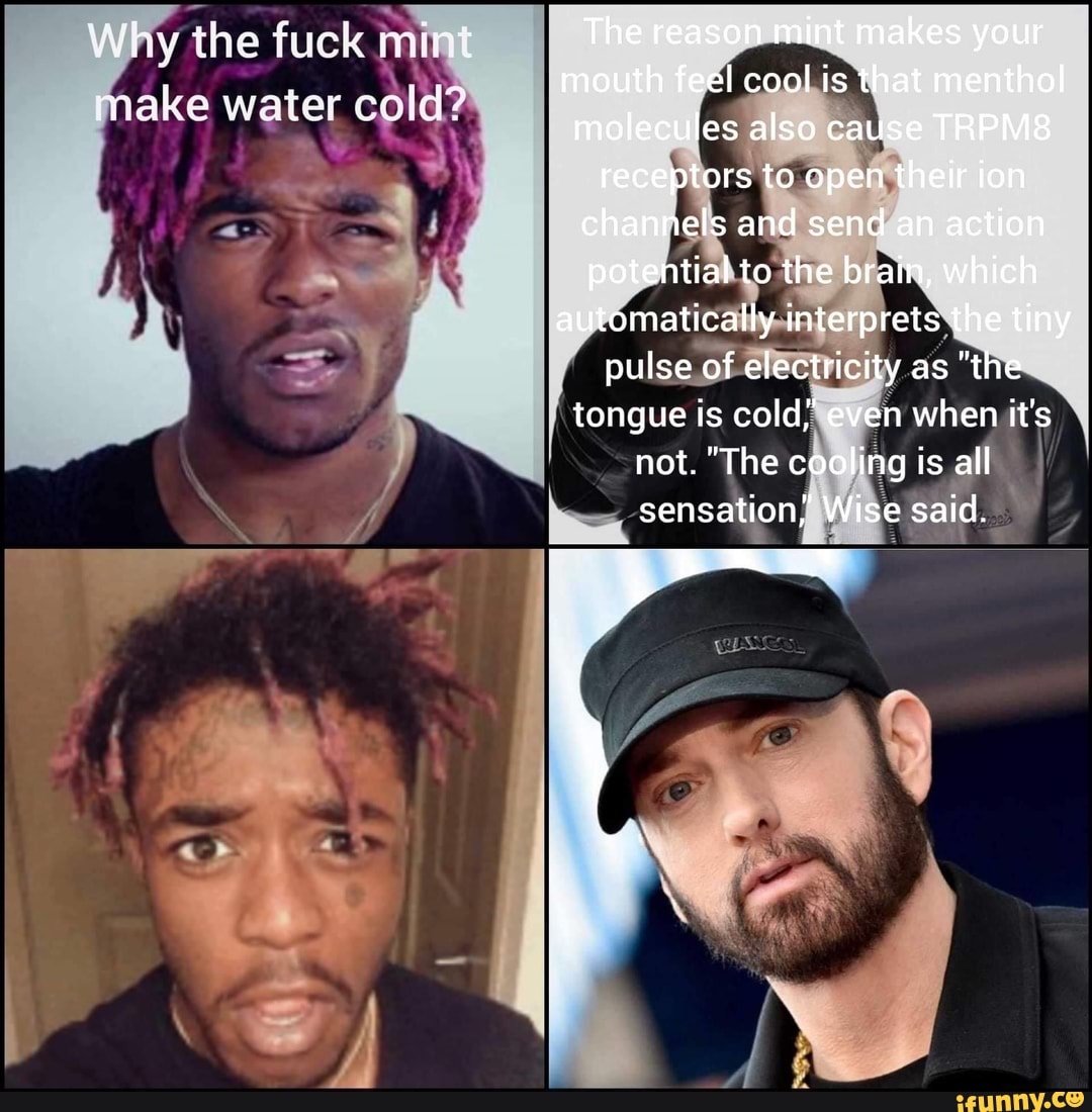 The reason mint makes your make wa cold? mouth feel molecules cool also ...