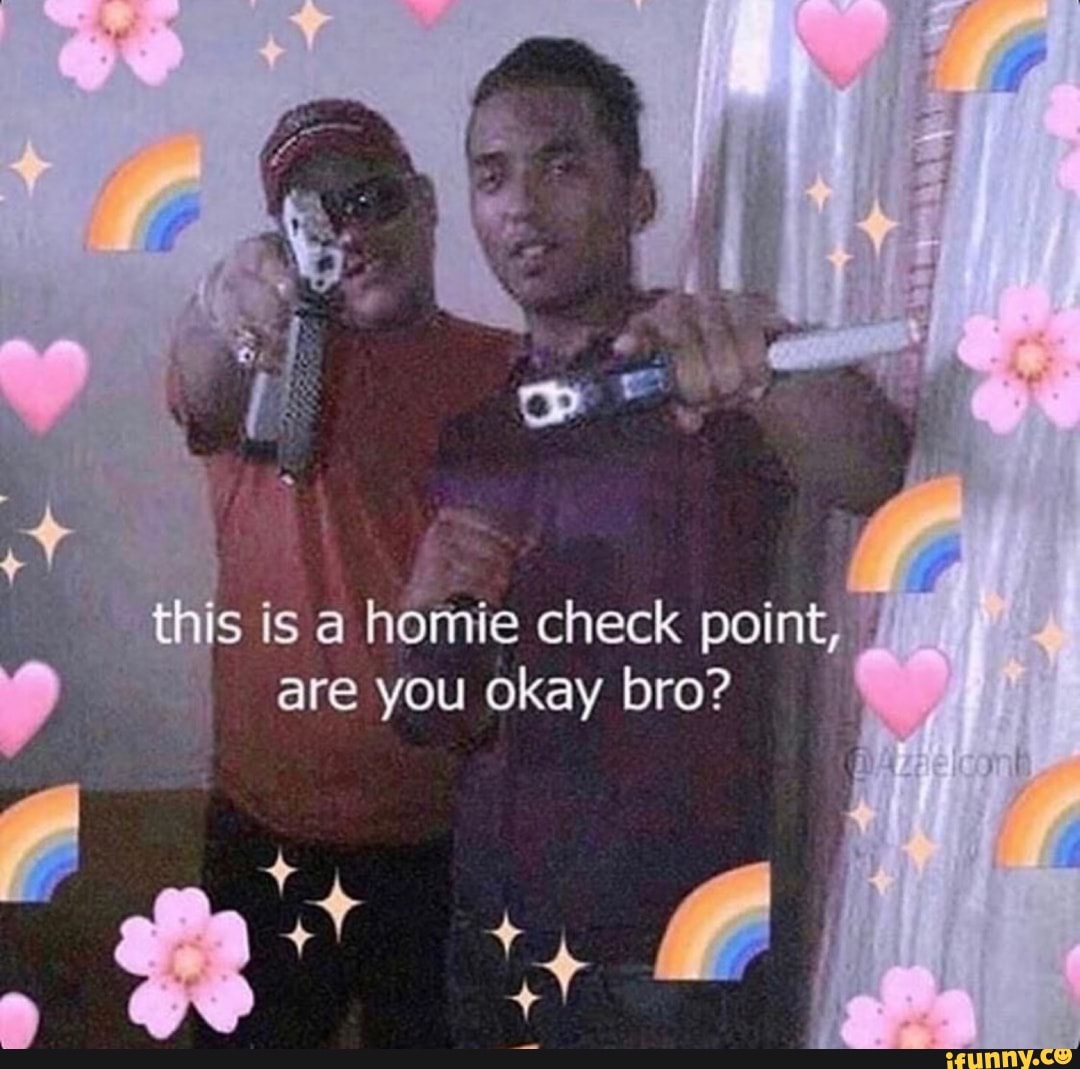 His is a homie check point, are you okay bro? - iFunny