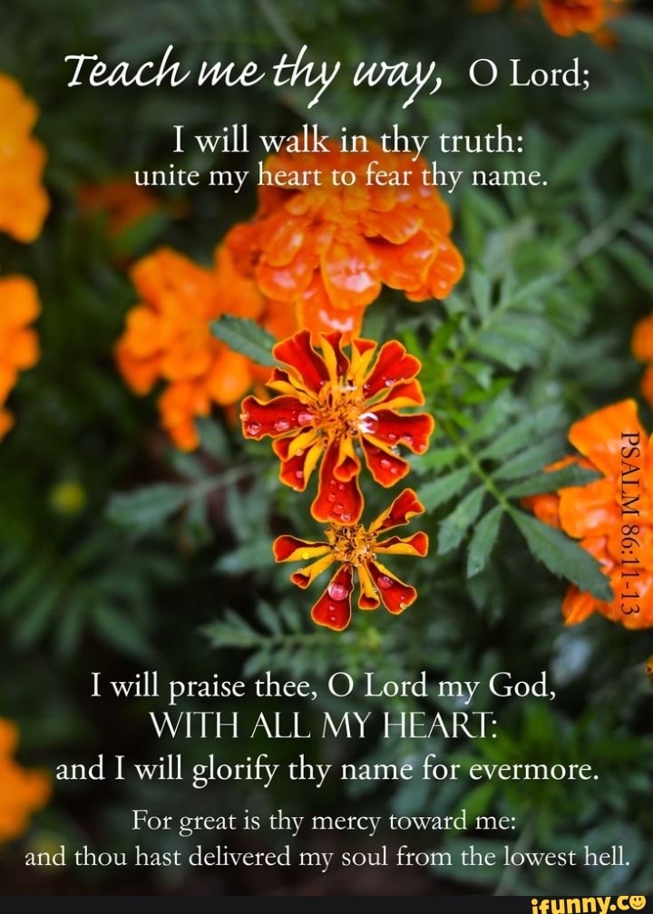 Teach thy WHY, Lord; will walk in thy truth: unite my heare to fear chy ...
