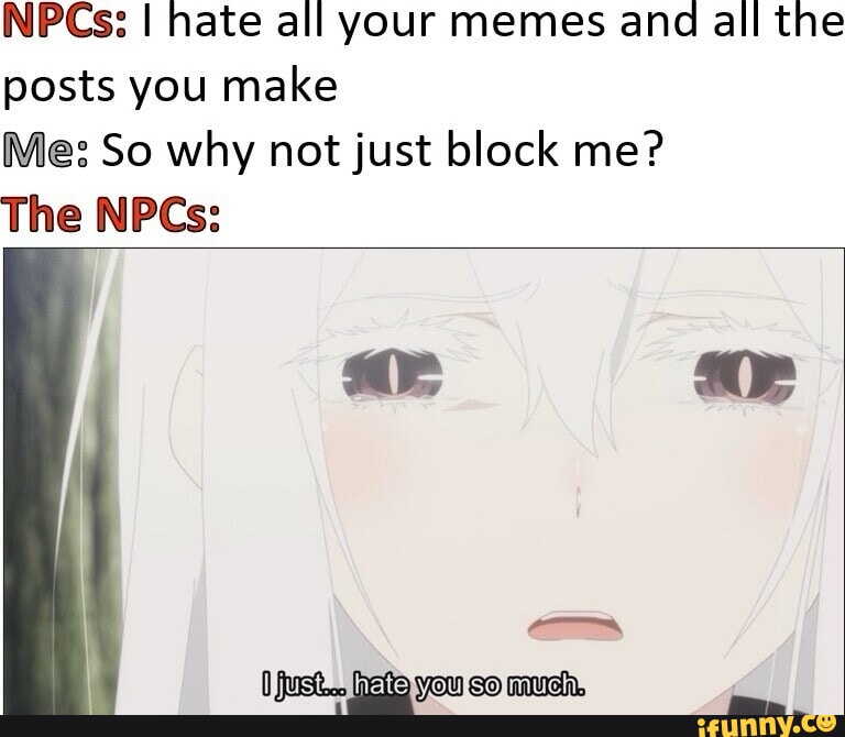 NPCs: I hate all your memes and all the posts you make Me: So why not ...