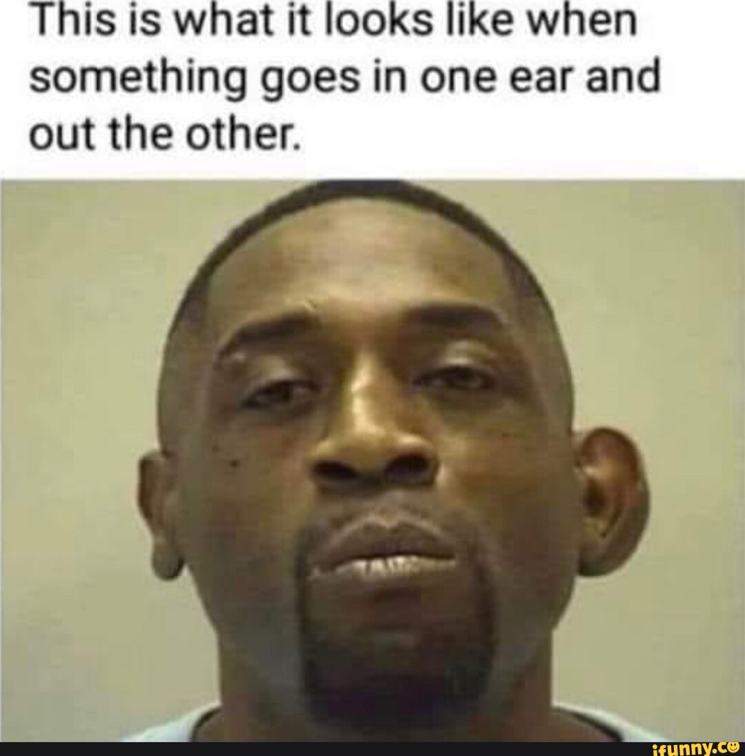 Isingconfidence: urbanarboriculture: Artist Peter Cook, grew this ...