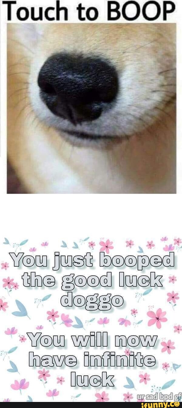 Touch to BOOP You just boopec! the gooel luck " 'You will mow awe ...
