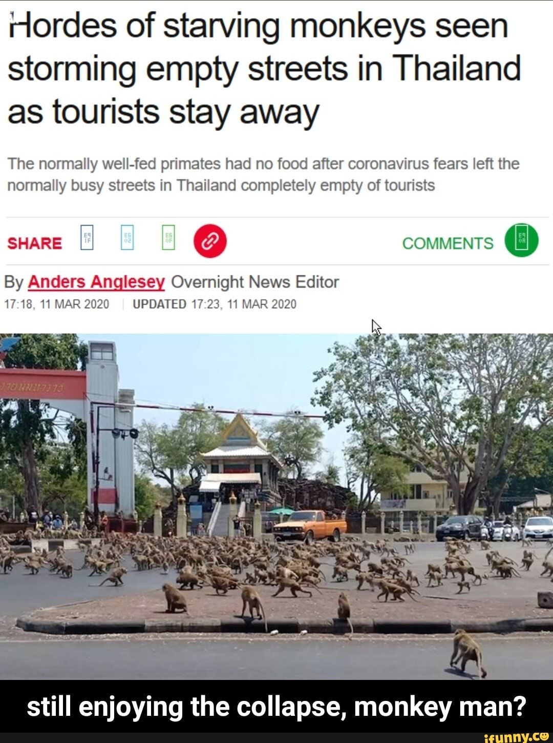 Rordes of starving monkeys seen storming empty streets in Thailand as tourists stay away The ...