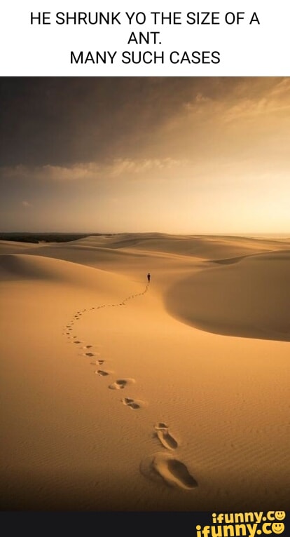 Shrunk memes. Best Collection of funny Shrunk pictures on iFunny