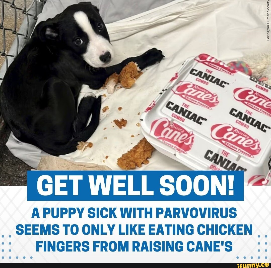 WELL SICK SOON! SEEMS TO ONLY LIKE EATING CHICKEN I FINGERS FROM ...