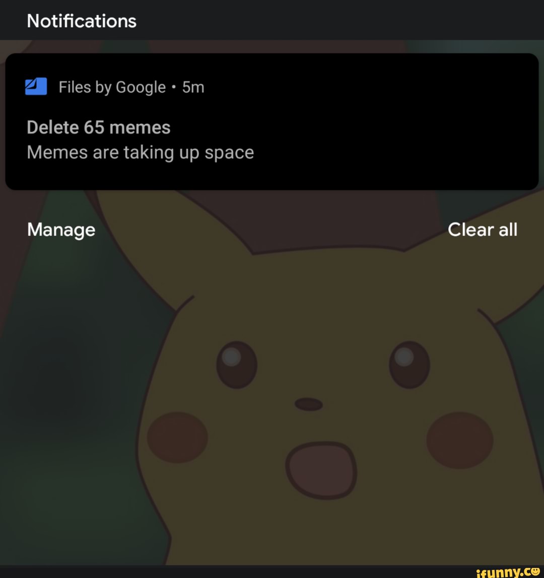 Big brother Google telling me to save space and delete old memes ...