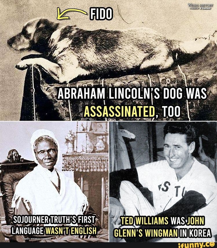 𝗦𝗼𝘂𝗻𝗱 memes. Best Collection of funny 𝗦𝗼𝘂𝗻𝗱 pictures on iFunny