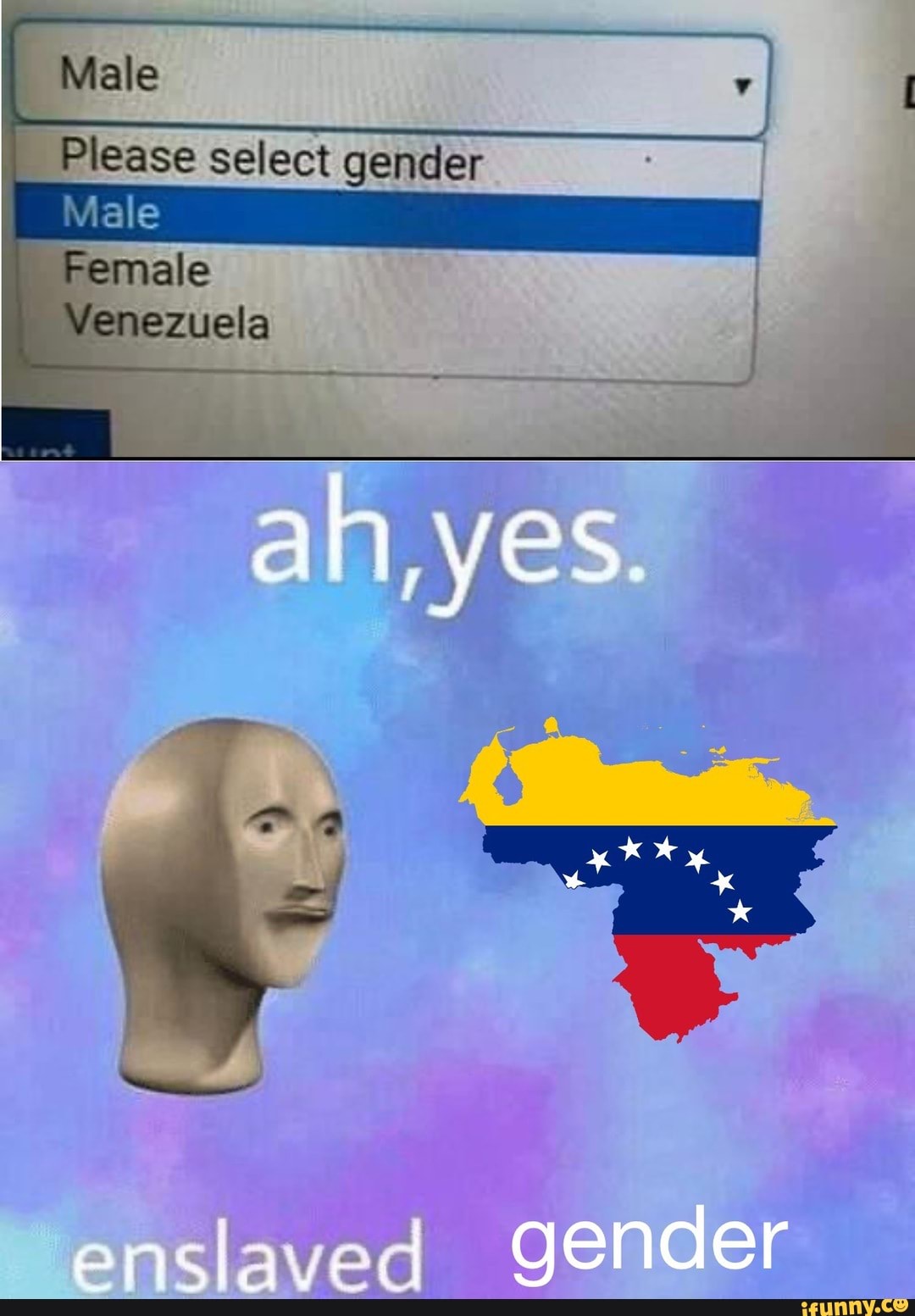 Please select gender Male Female Venezuela ah yes. gender - iFunny