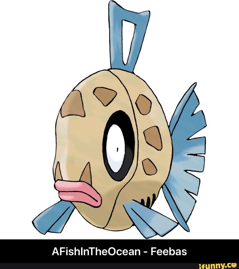 Feebas memes. Best Collection of funny Feebas pictures on iFunny