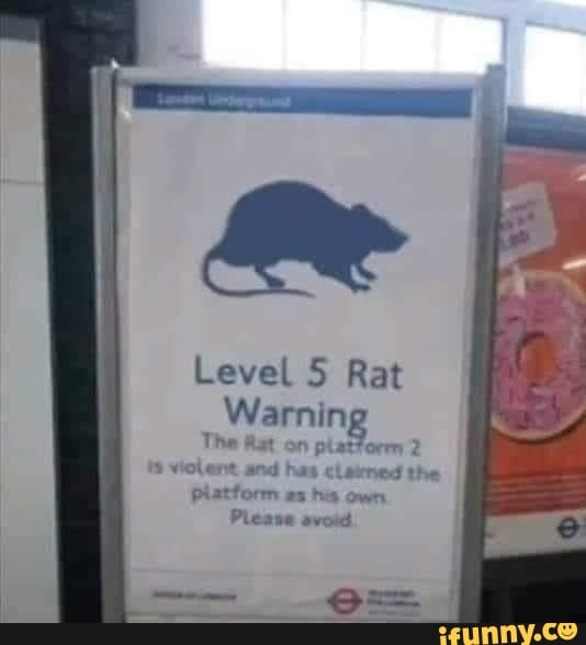 Level 5 Rat Warning The Aat violent and has clained Platform as his own ...