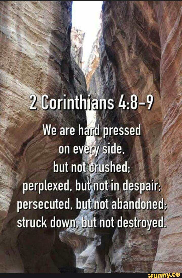 Perplexed memes. Best Collection of funny Perplexed pictures on iFunny