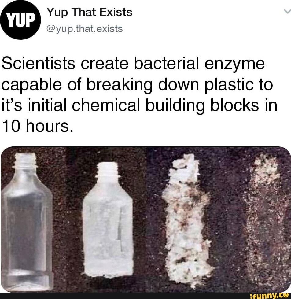 Enzyme memes. Best Collection of funny Enzyme pictures on iFunny