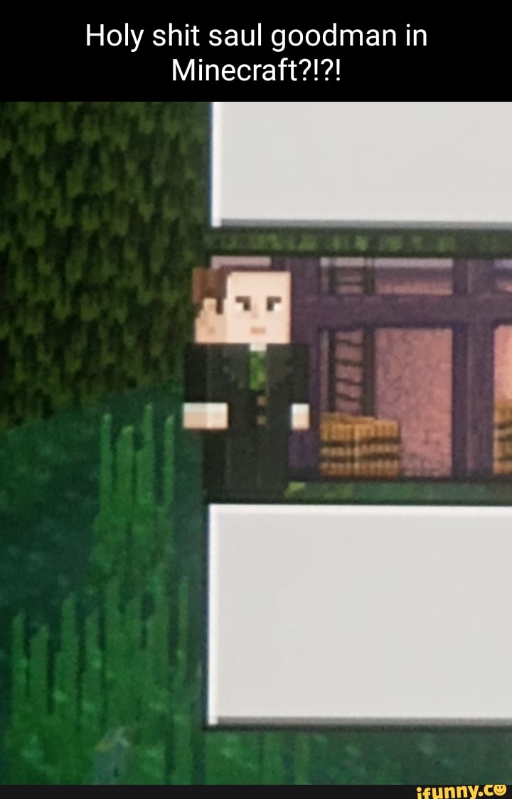 Holy shit saul goodman in Minecraft?!?! - iFunny