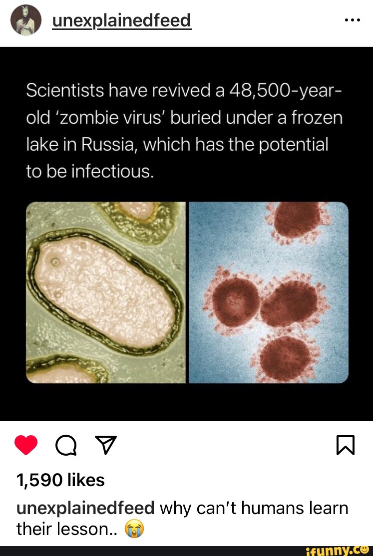 Unexplainedfeed Scientists have revived a 48,500-year- old 'zombie ...