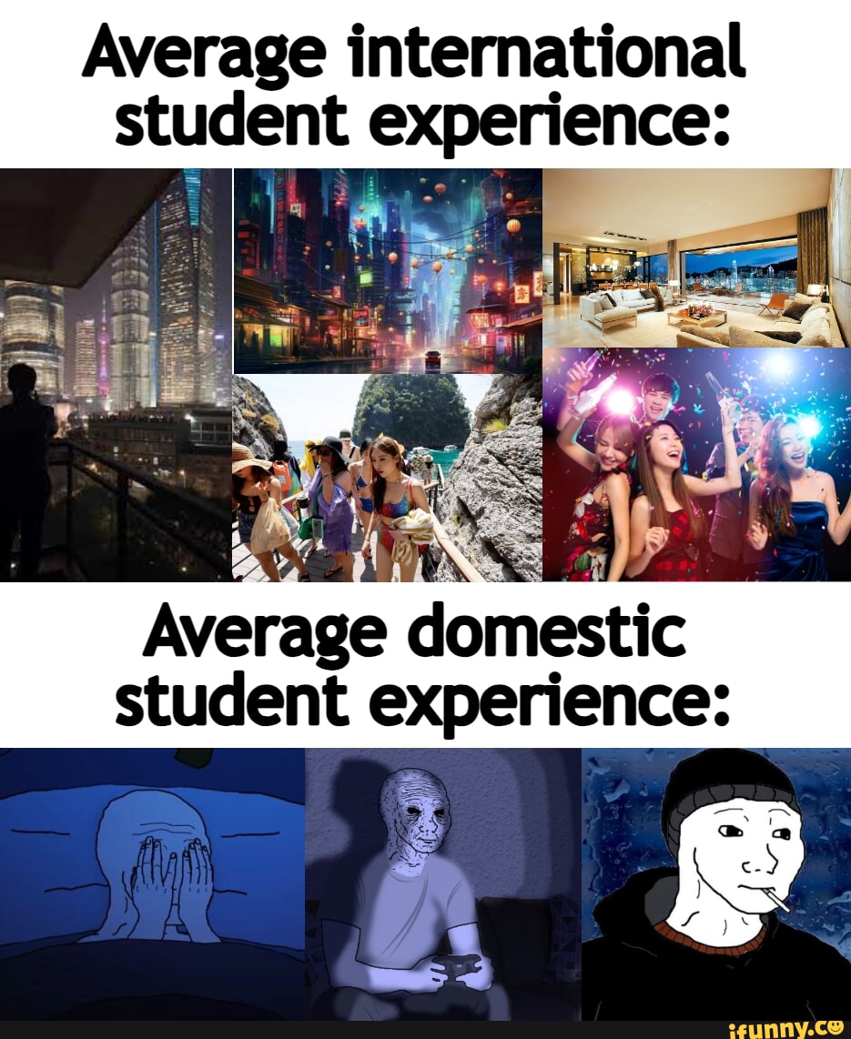 Average international student experience: es Average dome tic student ...