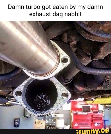 Nabbit memes. Best Collection of funny Nabbit pictures on iFunny