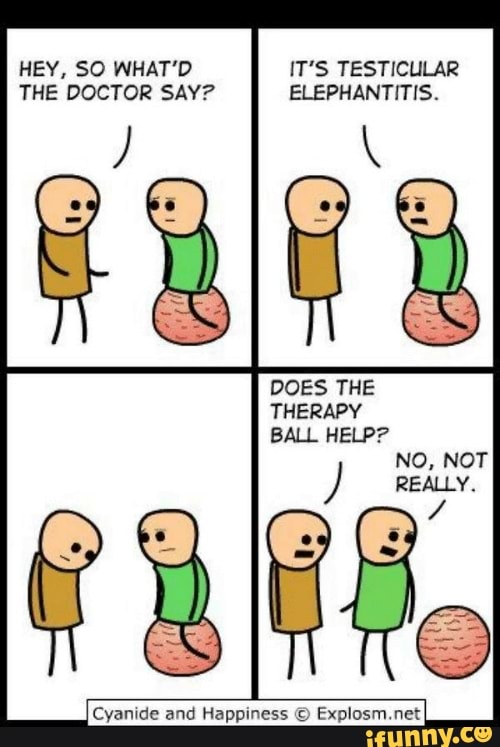 Elephantitis memes. Best Collection of funny Elephantitis pictures on ...