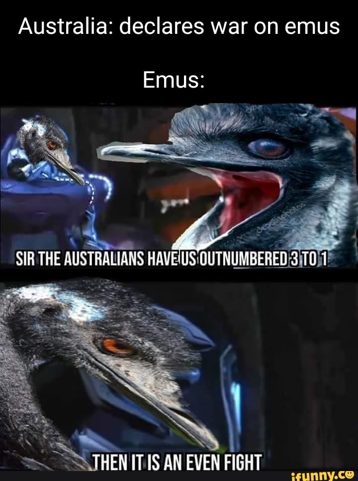Australia: declares war on emus Emus: SIR THE AUSTRALIANS US ...