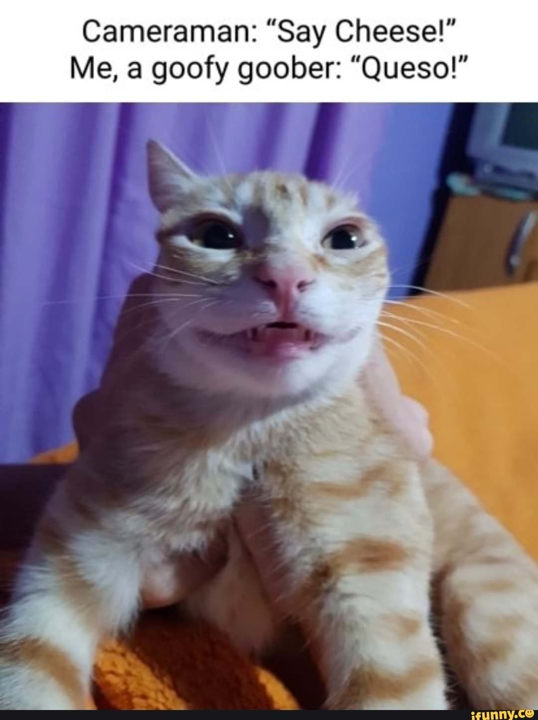 Cameraman: "Say Cheese!" Me, a goofy goober: "Queso!" - iFunny