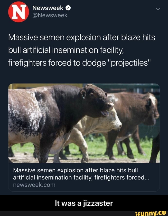 Massive semen explosion after blaze hits bull artificial insemination ...