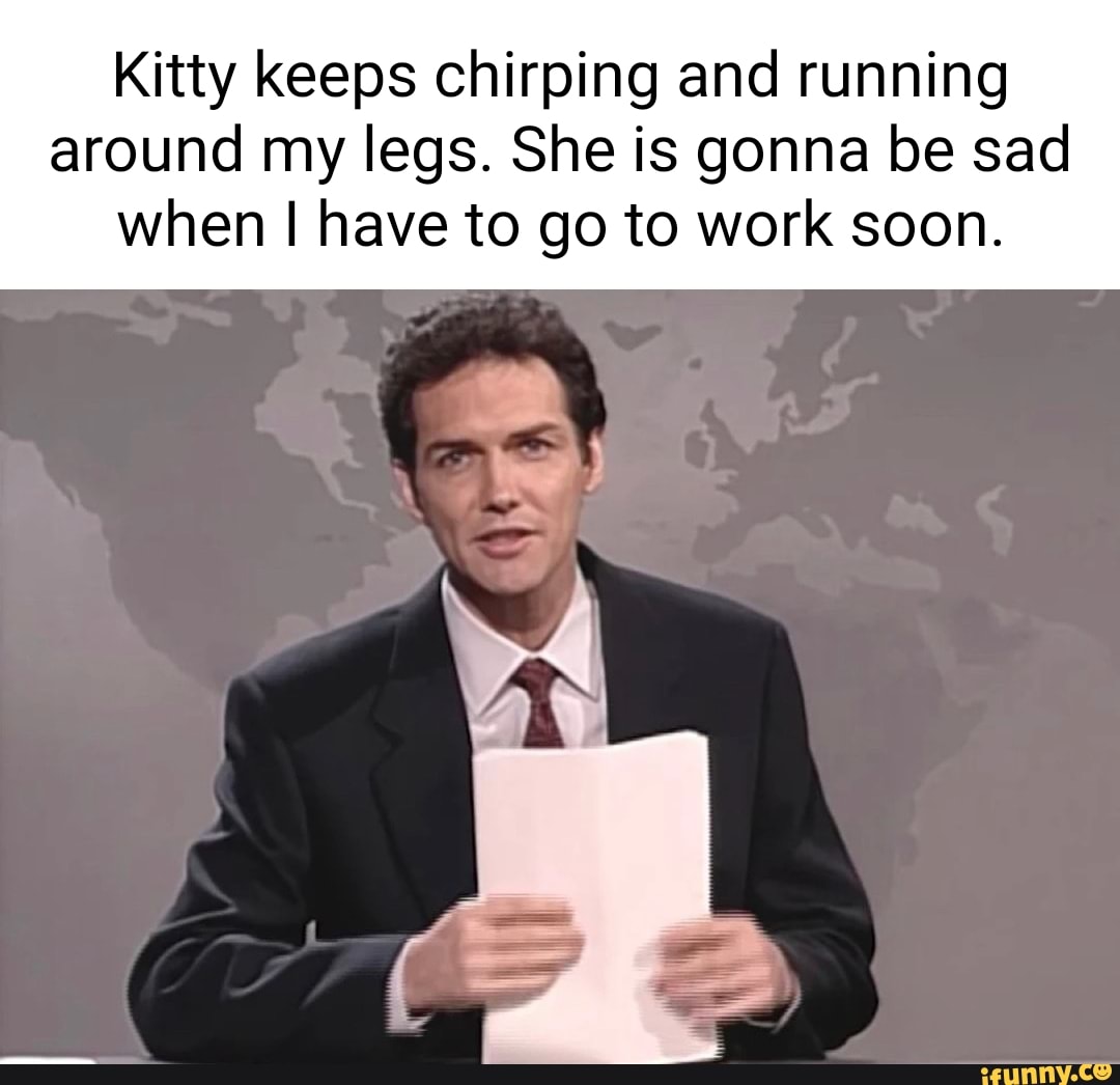 Kitty keeps chirping and running around my legs. She is gonna be sad ...