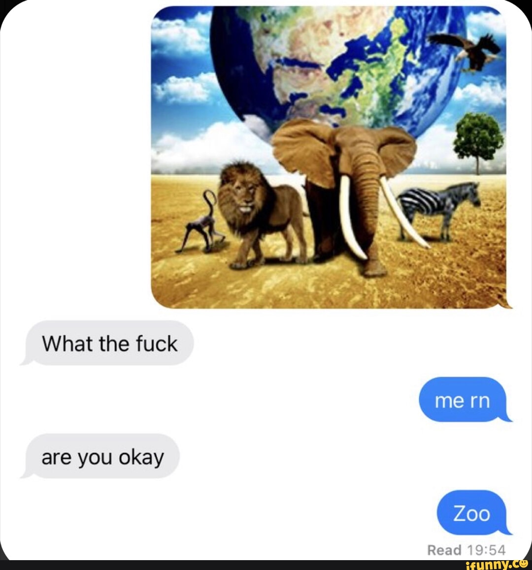 Mern memes. Best Collection of funny Mern pictures on iFunny