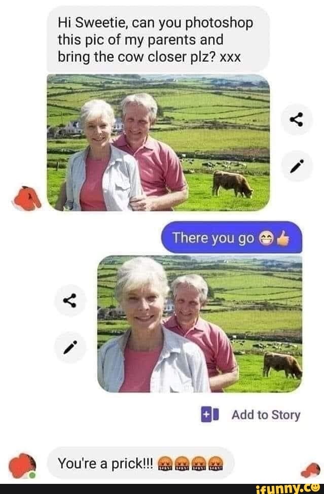 Hi Sweetie, can you photoshop this pic of my parents and bring the cow ...