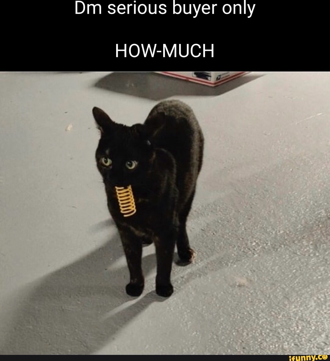 Buyer memes. Best Collection of funny Buyer pictures on iFunny