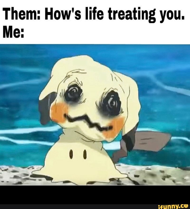 Them: How's life treating you. Me: - - iFunny