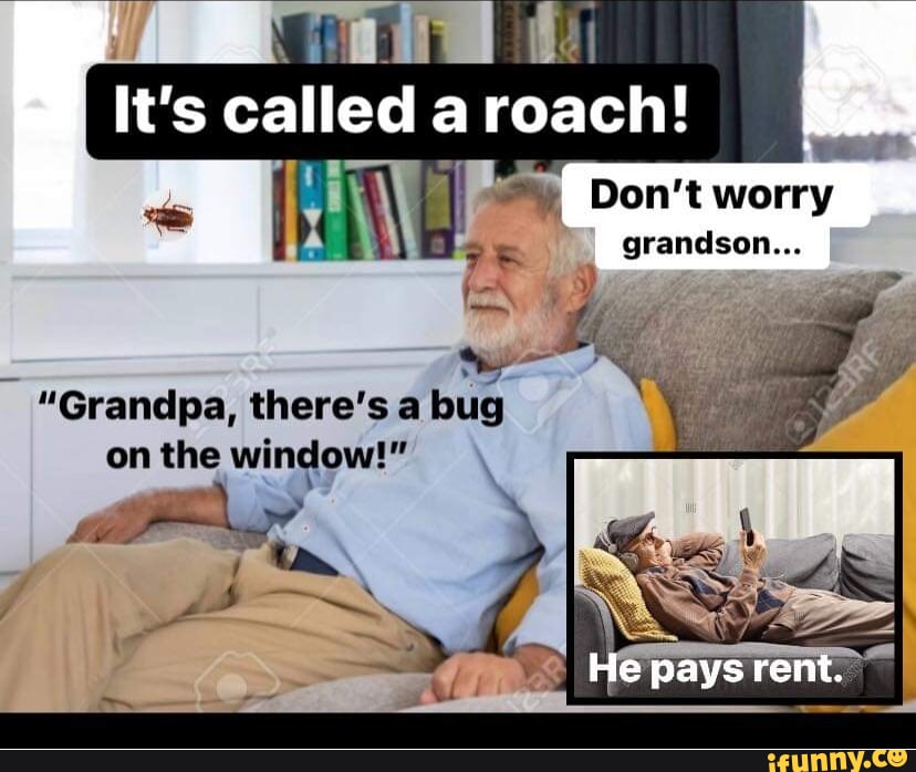 Grandson memes. Best Collection of funny Grandson pictures on iFunny