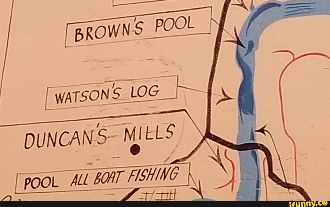 Amelia_watson memes. Best Collection of funny Amelia_watson pictures on ...