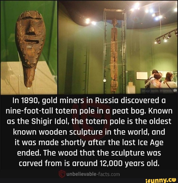 Totem memes. Best Collection of funny Totem pictures on iFunny