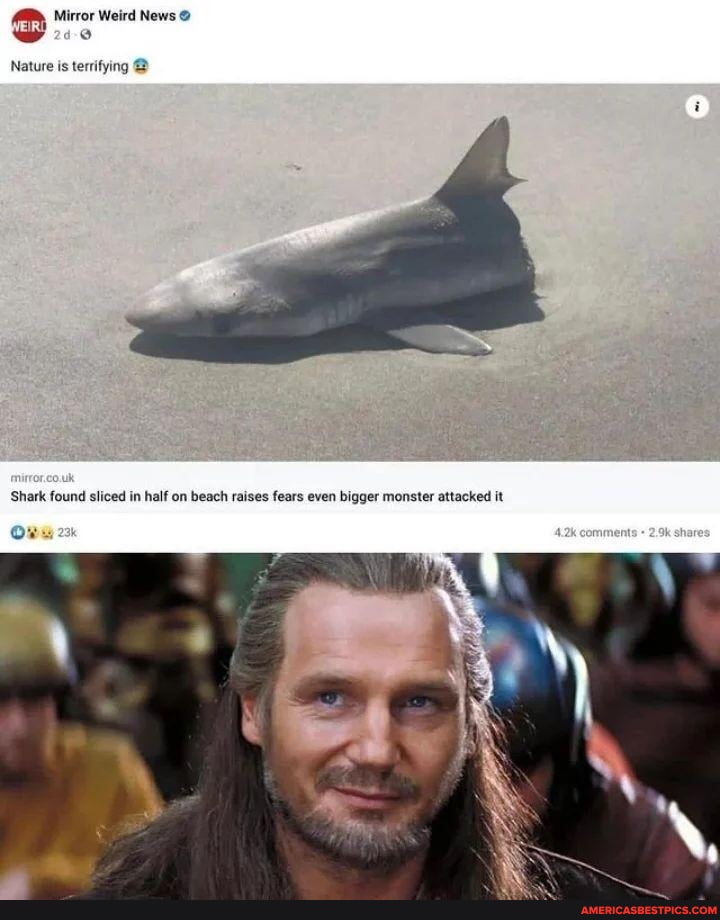 Visible happiness 😍 - Mirror Weird News ad Nature is terrifying @ fin ...