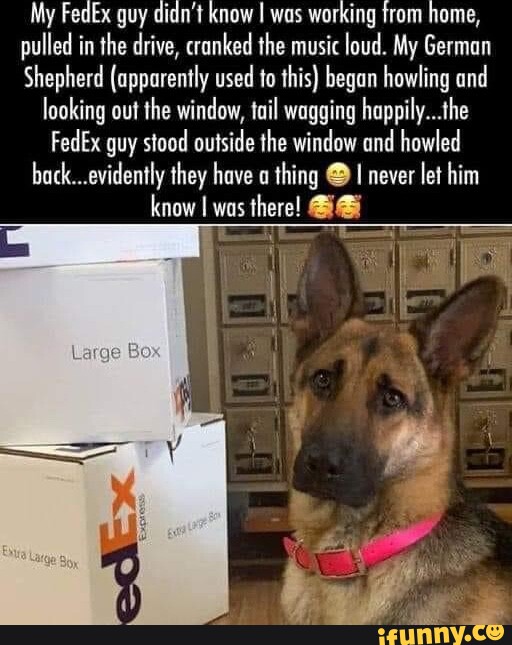 Picture memes GGBHGCjh6 by Unfresh_2017 - iFunny