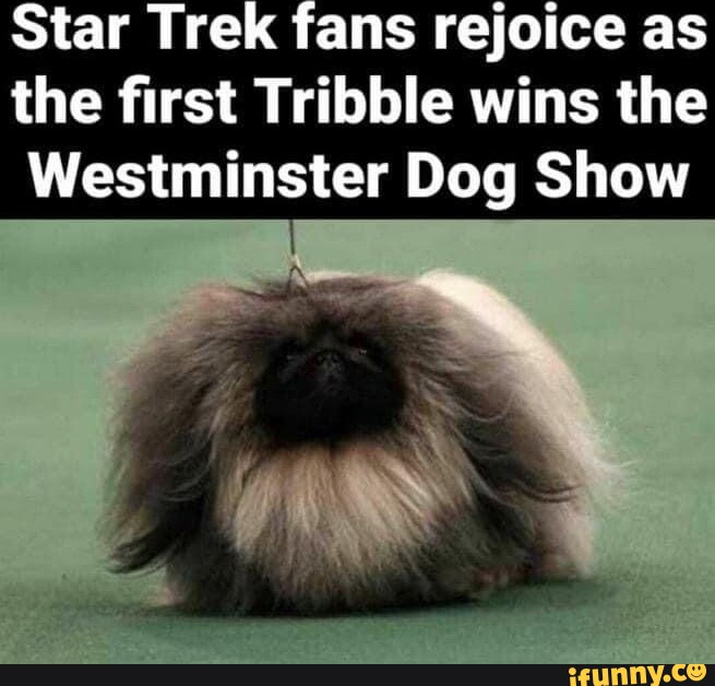 Tribble memes. Best Collection of funny Tribble pictures on iFunny