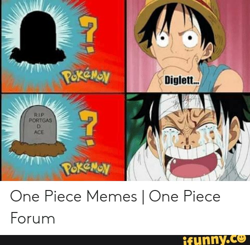 One Piece Memes I One Piece Forum - iFunny