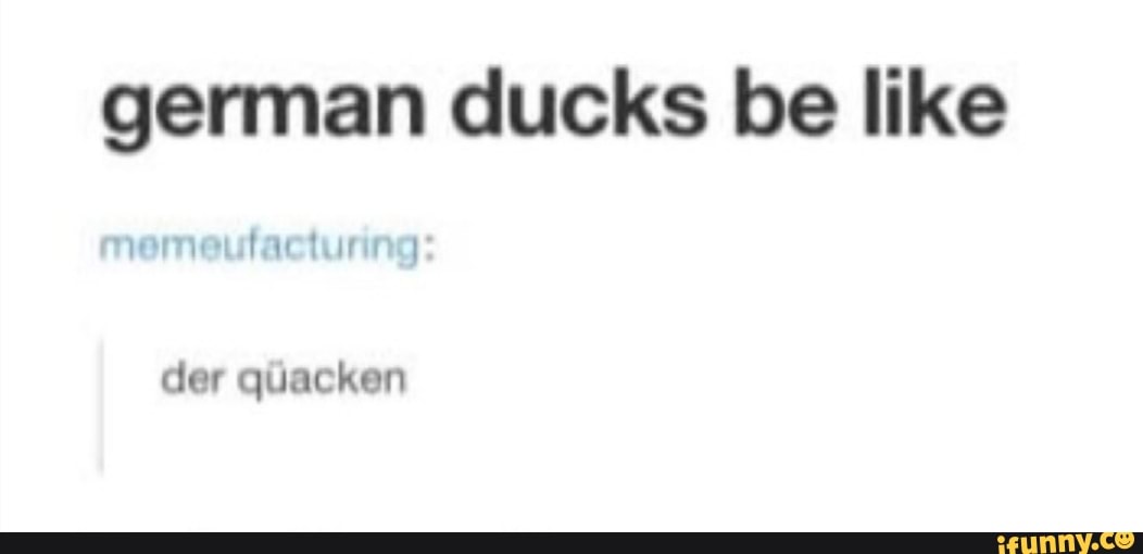 German ducks be like memeutacturing der quacken - iFunny